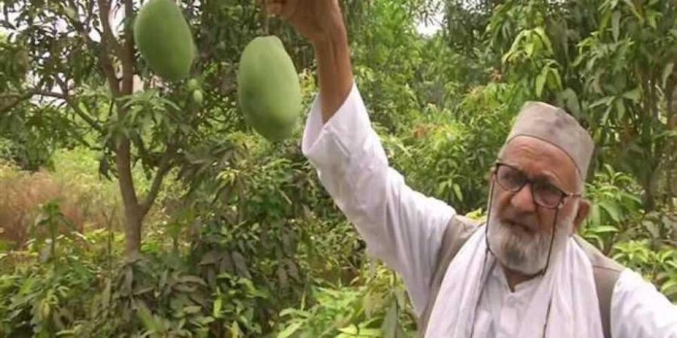 The “Mango Man” of India | Indian Century